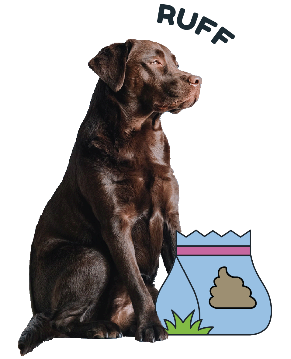 Home [ruffstuffnj.com]